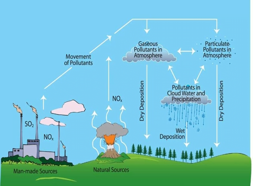 Acid Rain, Formation, Significance, Major Sources and Effects. - Info Hut