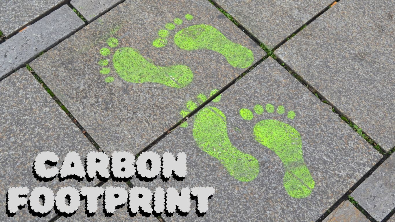Carbon Footprint Causes and Effects - Info Hut