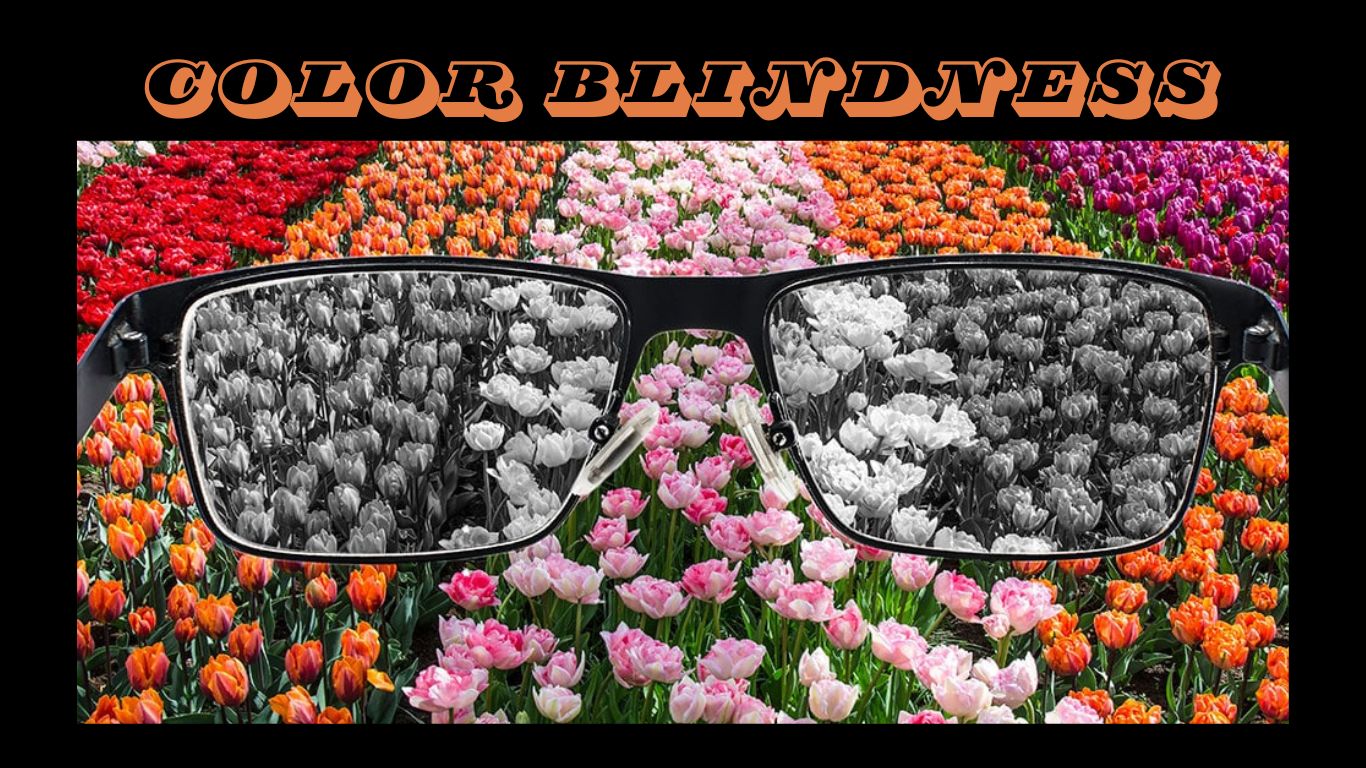 Color Blindness Causes and Prevention - Info Hut