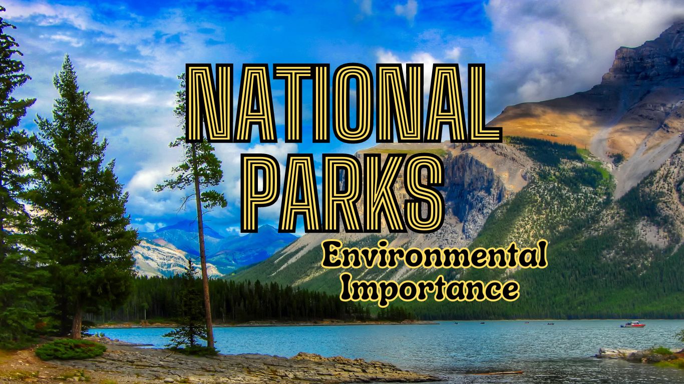 Environmental Importance of National Parks - Info Hut
