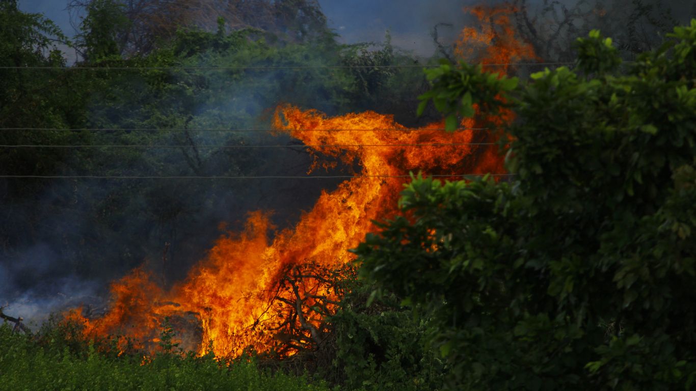 Natural and Anthropogenic Causes of Wildfires - Info Hut
