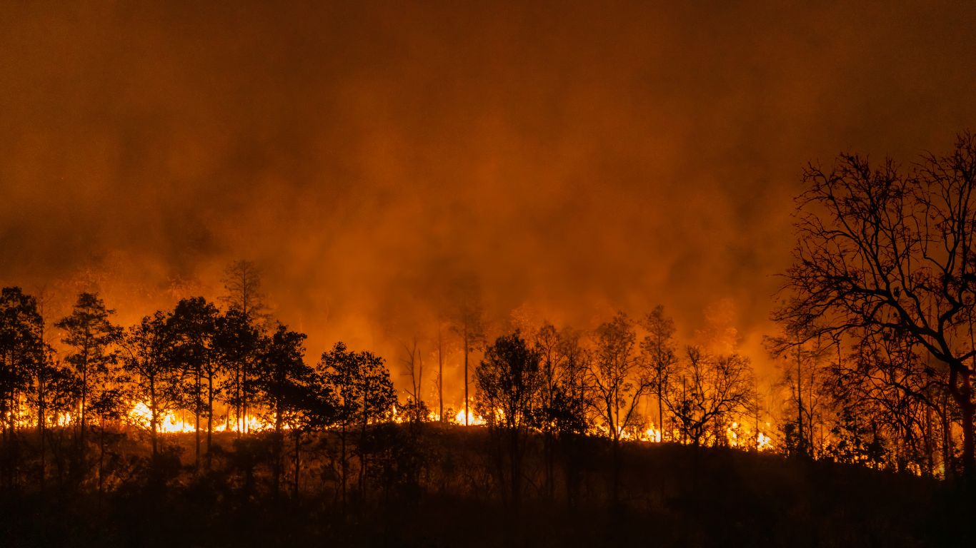 Natural and Anthropogenic Causes of Wildfires - Info Hut