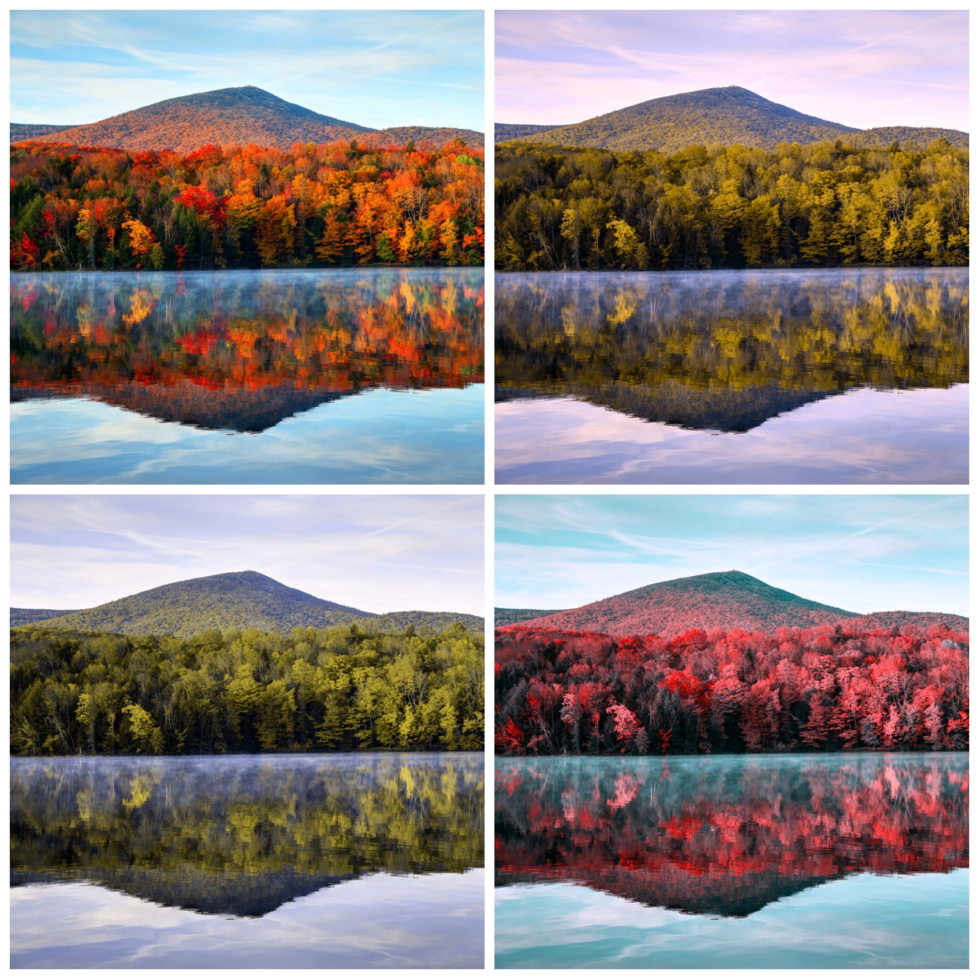 Color Blindness Causes and Prevention - Info Hut