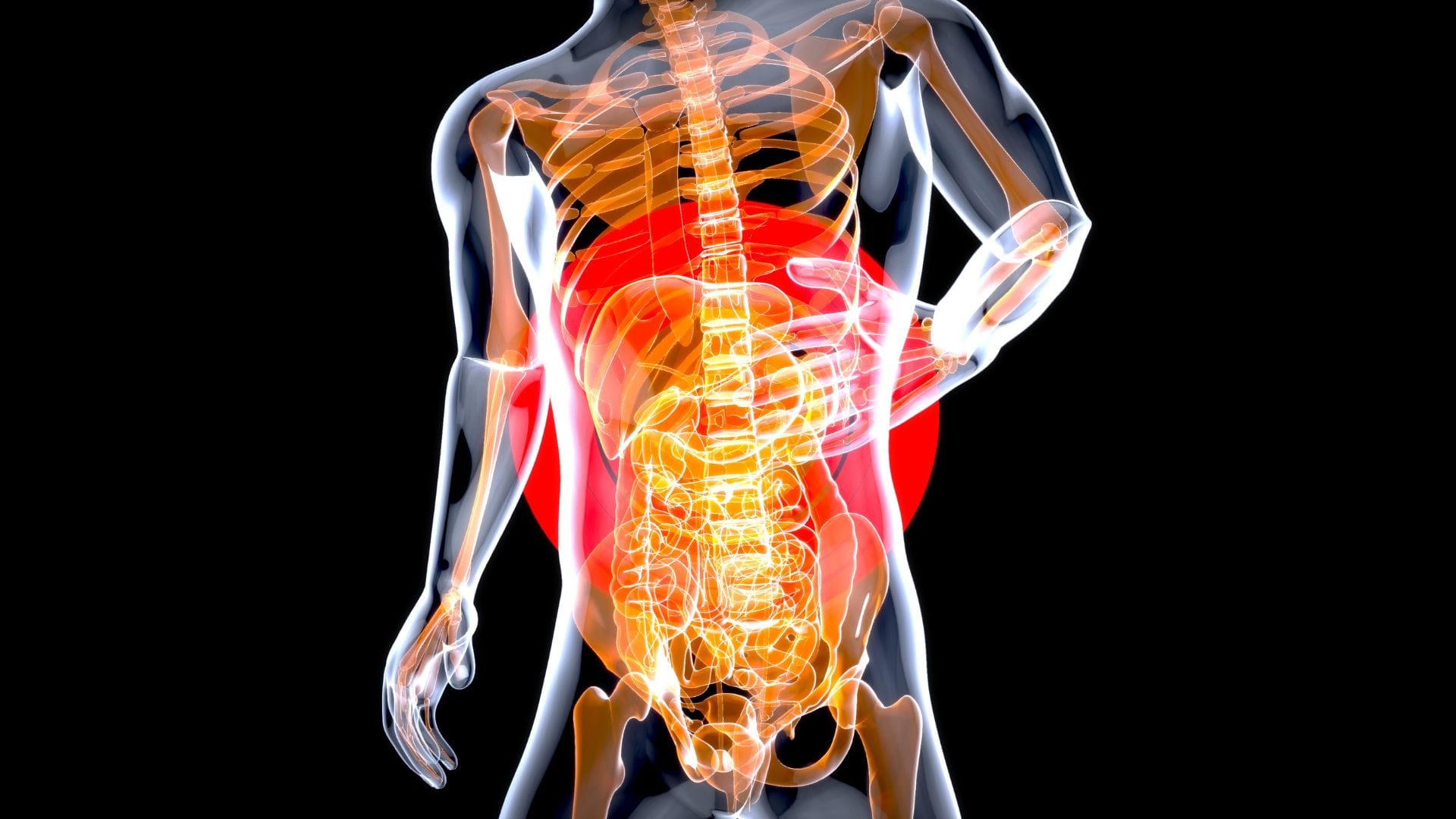 Understanding Physiology: Types, Scope, and Future Trends